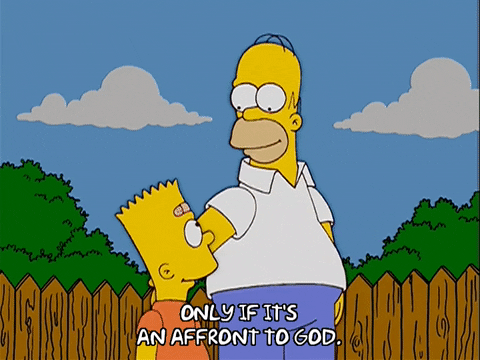 Advice Homer Memes