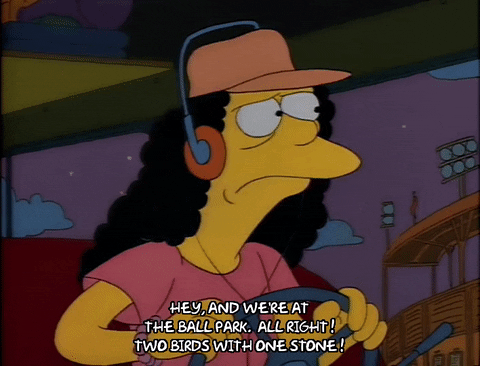 Killing 2 Birds With One Stone GIFs - Find & Share on GIPHY