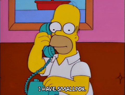 Homer Simpson GIF - Find & Share on GIPHY