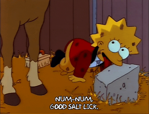 Season 3 Horses GIF - Find & Share on GIPHY