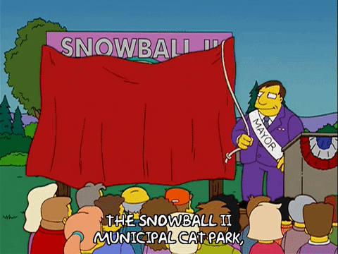 Municipal Governments – Mrs. Cameron's Classroom