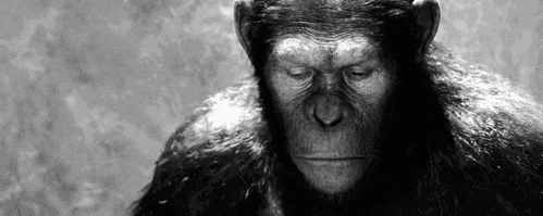 Looking Planet Of The Apes GIF by 20th Century Fox Home Entertainment ...