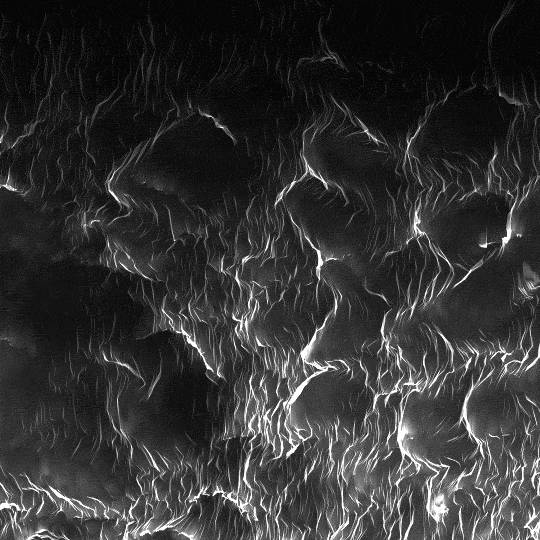 Loop Dark GIF by xponentialdesign - Find & Share on GIPHY