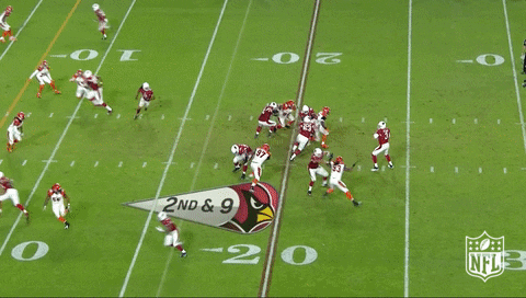 Arizona Cardinals Football GIF by NFL - Find & Share on GIPHY