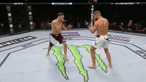 Ufc 205 Mma GIF by UFC - Find & Share on GIPHY