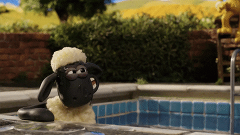 Swimming Pool Smile GIF by Aardman Animations - Find & Share on GIPHY