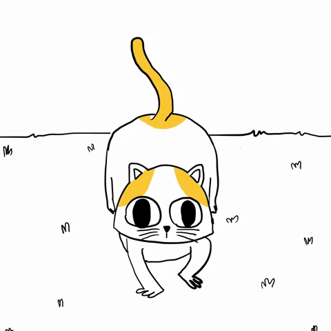 Cat Pounce GIF by Percolate Galactic - Find & Share on GIPHY