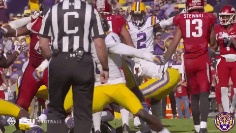 College Sports Sport GIF by LSU Tigers - Find & Share on GIPHY