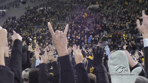 Hawks GIF by University of Iowa Hawkeyes Athletics - Find & Share on GIPHY