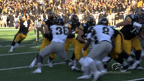 Hawks GIF by University of Iowa Hawkeyes Athletics - Find & Share on GIPHY