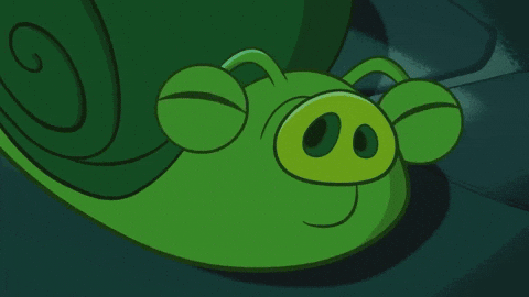 Laugh Piggy GIF by Angry Birds - Find & Share on GIPHY