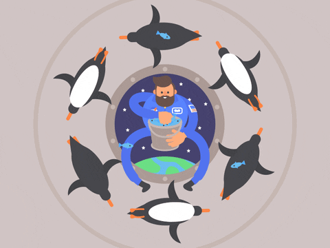 Perfect Loop GIF by James Curran - Find & Share on GIPHY