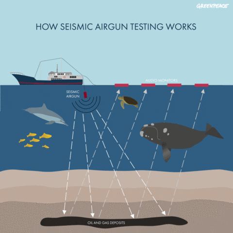 - Find & Share on GIPHY