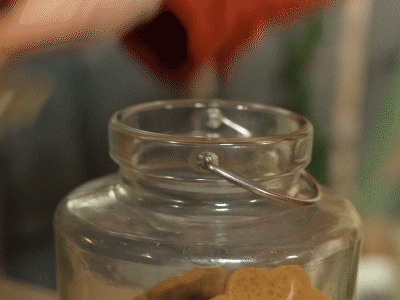 Closing Lid GIFs - Find & Share on GIPHY