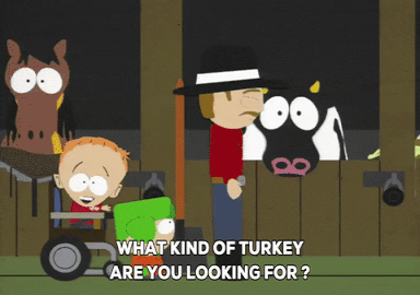 Kyle Broflovski Turkey GIF by South Park - Find & Share on GIPHY