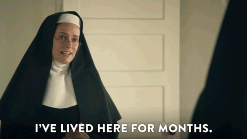 Comedy Central Nuns GIF by Another Period - Find & Share on GIPHY