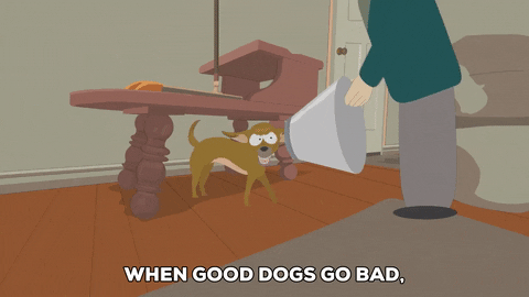 Dog Biting GIF by South Park - Find & Share on GIPHY