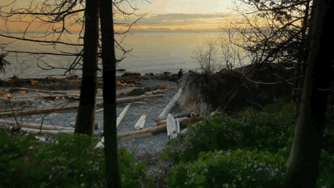 Unreal GIF by EchoBoom Sports - Find & Share on GIPHY