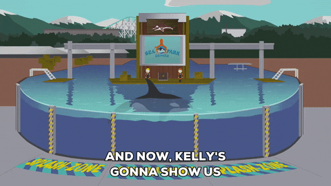 Sea World Pool GIF by South Park - Find & Share on GIPHY