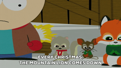 Stan Marsh Forest Critters GIF by South Park - Find & Share on GIPHY