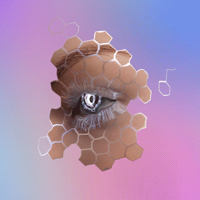 Internet Feels GIF by Blake Kathryn - Find & Share on GIPHY