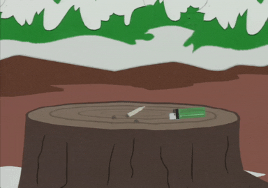 Tree Stump GIF by South Park - Find & Share on GIPHY