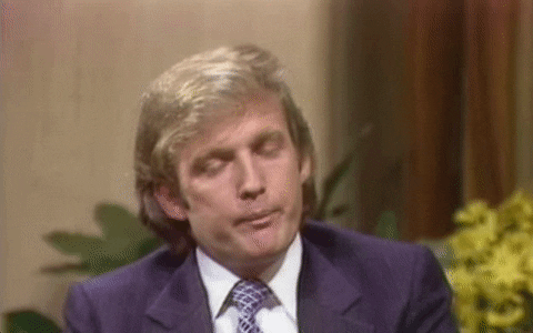 Donald Trump Yes GIF by Election 2016 - Find & Share on GIPHY