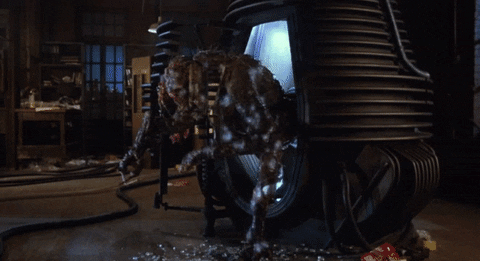 The Fly GIF - Find & Share on GIPHY