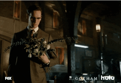 Edward Nygma Gotham GIF by HULU - Find & Share on GIPHY