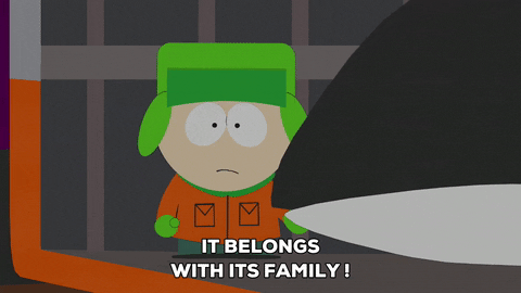 Angry Kyle Broflovski GIF by South Park - Find & Share on GIPHY