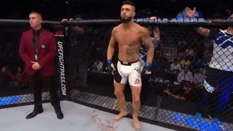 Excited Ufc 202 GIF - Find & Share on GIPHY
