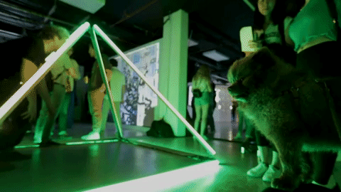 Time Frame GIF by Walter Wlodarczyk - Find & Share on GIPHY