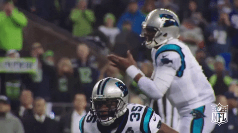 Carolina Panthers Applause GIF by NFL - Find & Share on GIPHY