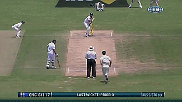 Cricket GIF - Find & Share on GIPHY