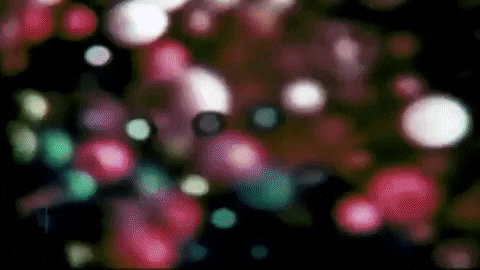 Party Film GIF - Find & Share on GIPHY