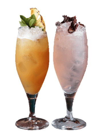 Cheers Celebrate Sticker by Arc Inspirations for iOS & Android | GIPHY