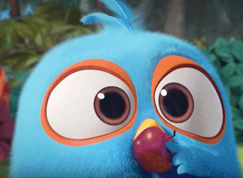 GIF by Angry Birds - Find & Share on GIPHY