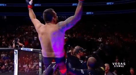 UFC GIF - Find & Share on GIPHY