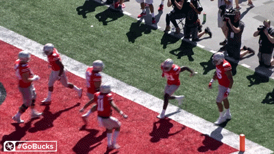 Ncaa Sports GIF by Ohio State Athletics - Find & Share on GIPHY