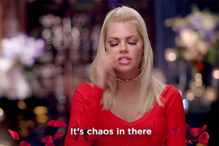 The Bachelorette Australia GIF - Find & Share on GIPHY