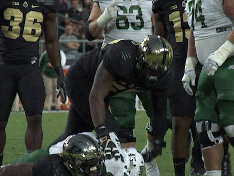 Purdue Football Jeffbrohm GIF by Purdue Sports - Find & Share on GIPHY