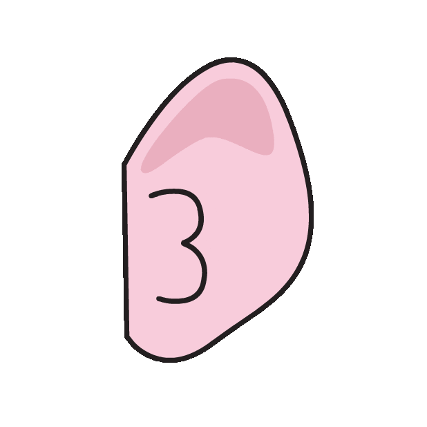 Ear Sticker by Carolyn Figel for iOS & Android | GIPHY