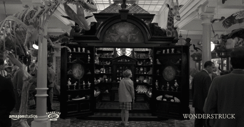 Wonderstruck GIFs - Find & Share on GIPHY