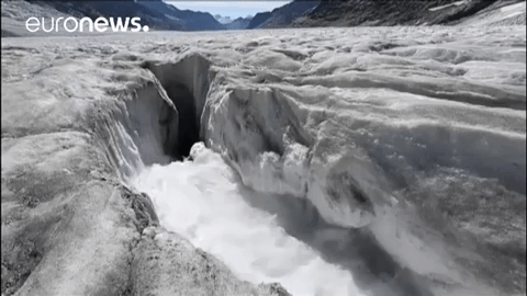 - Find & Share on GIPHY