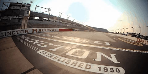 South Carolina Nascar GIF by Richard Childress Racing - Find & Share on ...