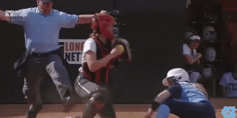 Carolina Softball GIF by UNC Tar Heels - Find & Share on GIPHY