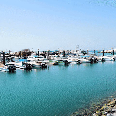 GIF by Visit Dubai - Find & Share on GIPHY