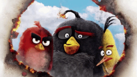 Angry Birds GIF - Find & Share on GIPHY