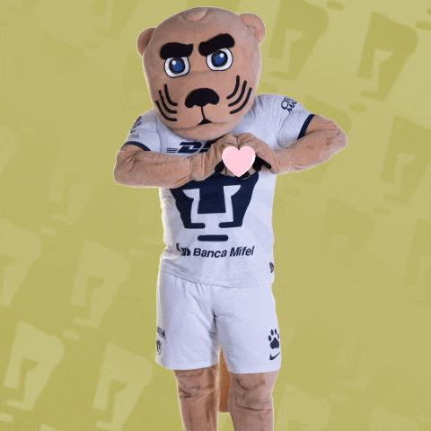 Pumas GIFs - Find & Share on GIPHY