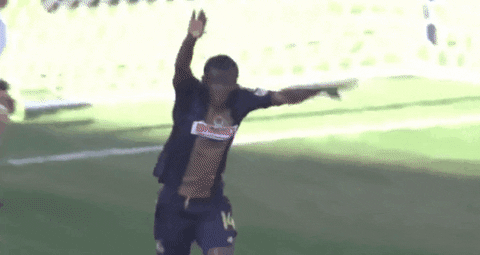 Celebration Flipping GIF by Philadelphia Union - Find & Share on GIPHY